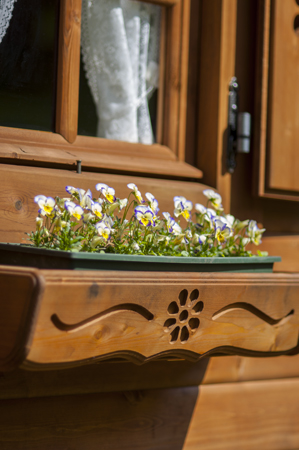 Casette in legno di qualità per ogni utilizzo - La Pratolina